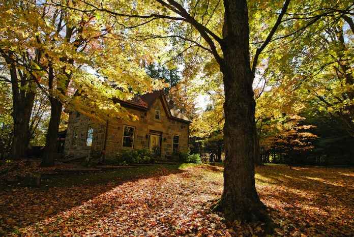 Artists in their studio: George McLean | Rrampt.